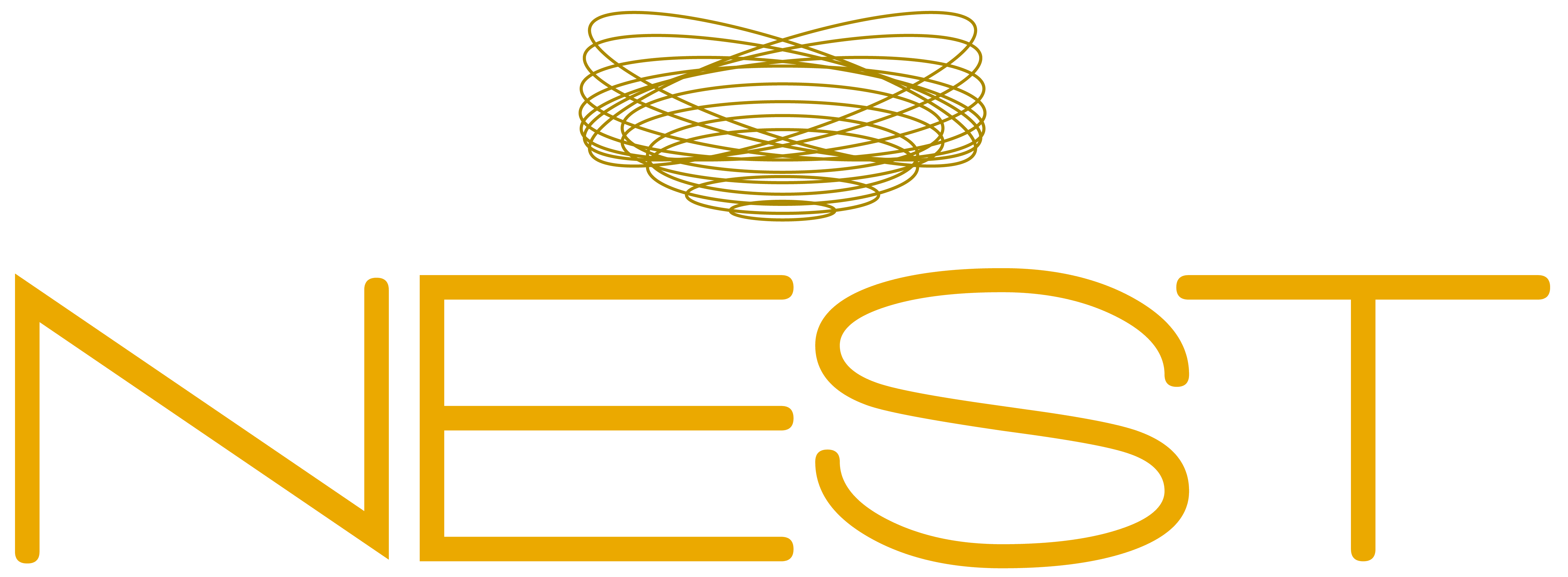 Nest Financial Solutions | Nest Financial